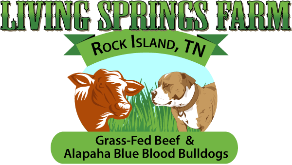 Coming Soon – Grass-Fed Beef and Alapaha Blue Blood Bulldogs | Living ...